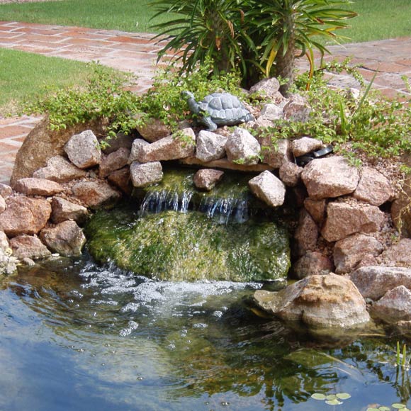 Koi Pond Design, Installation Scottsdale, AZ | Contractor